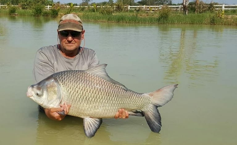 Thai Freshwater Fish Species - Catla Catla (Indian) Carp