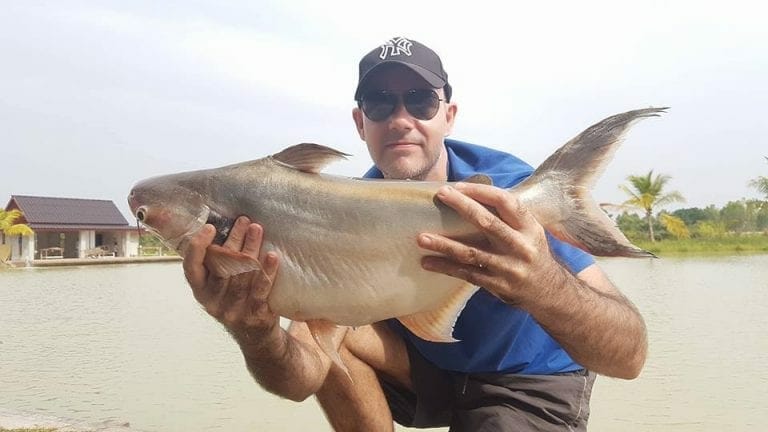 75+ Stocked Thai Freshwater Fish Species Thailand