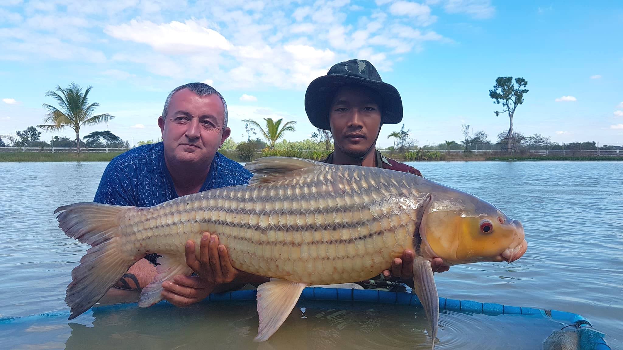 Fishing Update – Catching Julien's Golden Prize Carp in Thailand