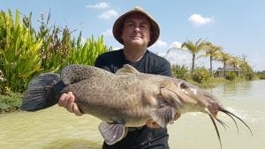 75+ Stocked Thai Freshwater Fish Species Thailand