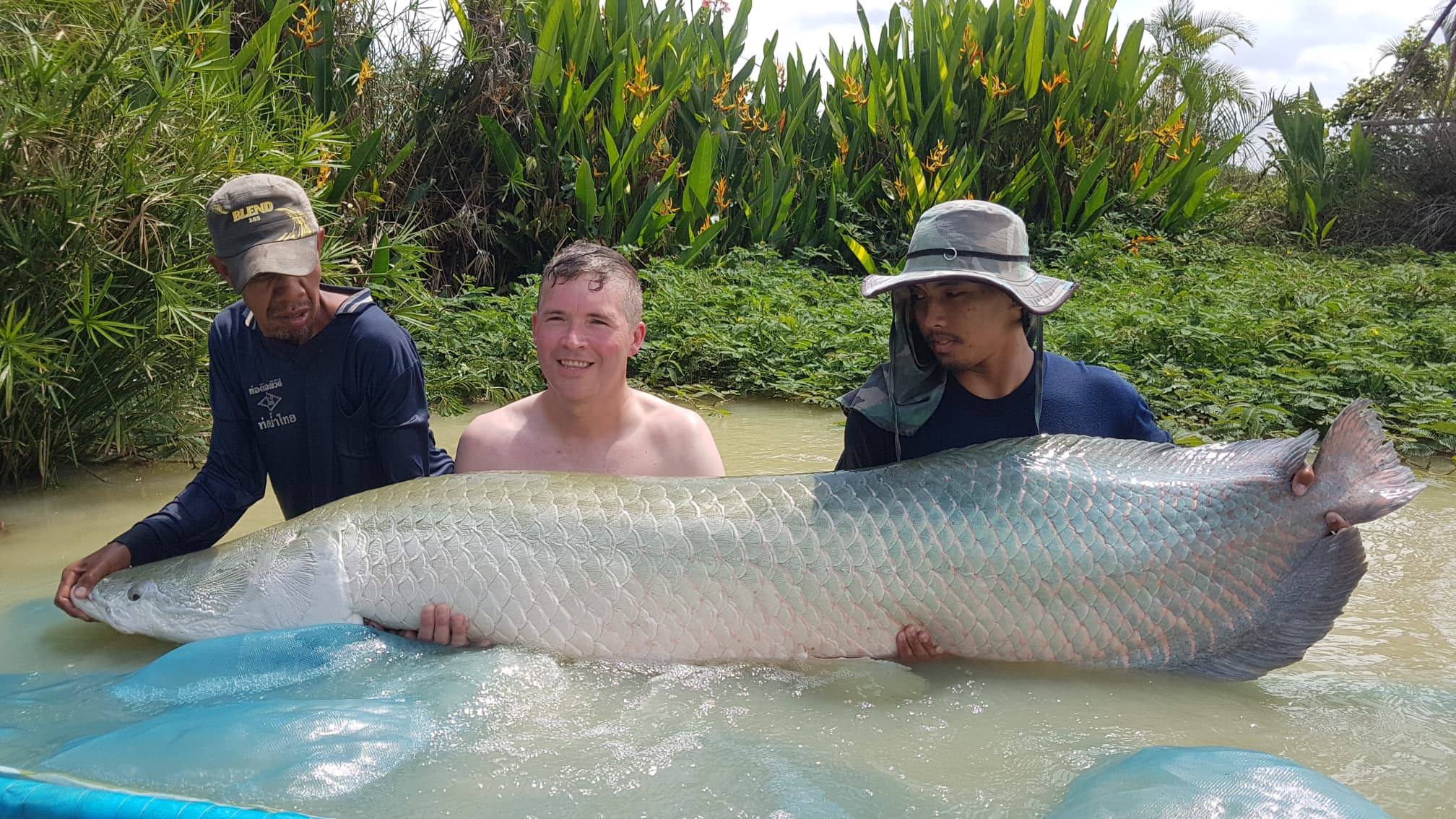 Arapaima Fishing Holidays In Thailand – David