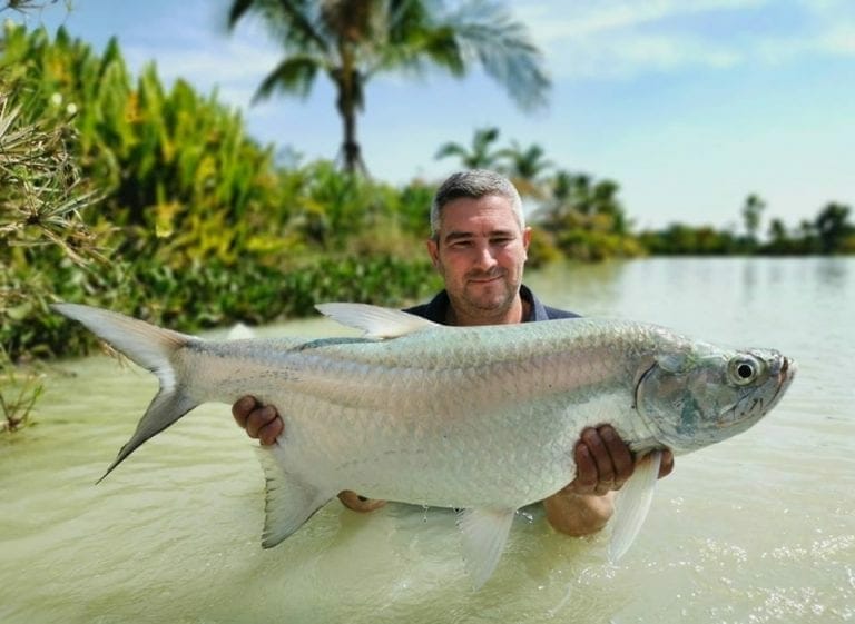 75+ Stocked Thai Freshwater Fish Species Thailand