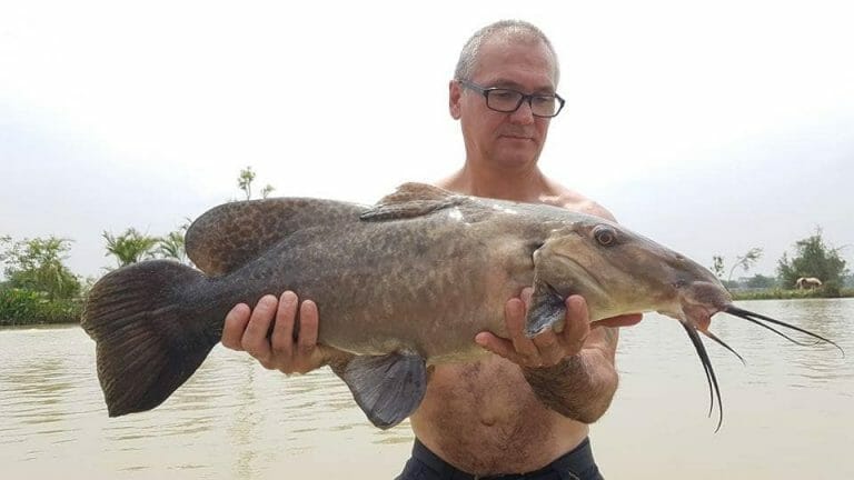 Fishing for Giraffe Catfish at Lek's Fishing Lake Udon Thani