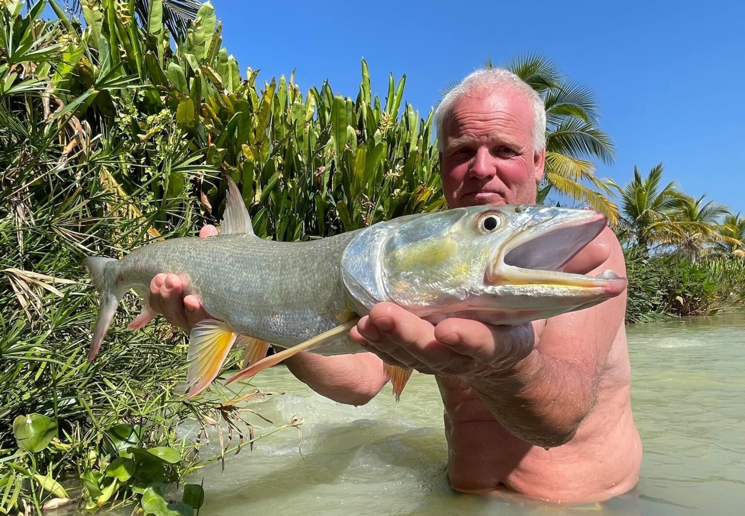 100+ Stocked Thai Freshwater Fish Species Thailand